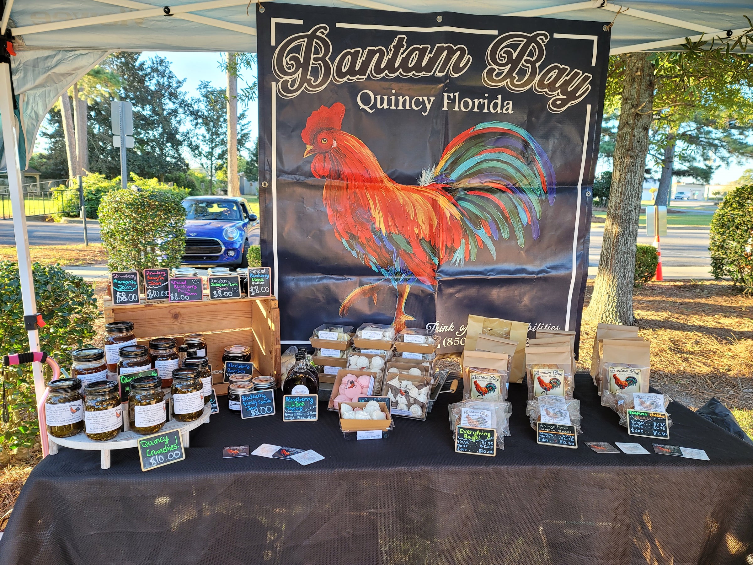 Bantam Bay & Company